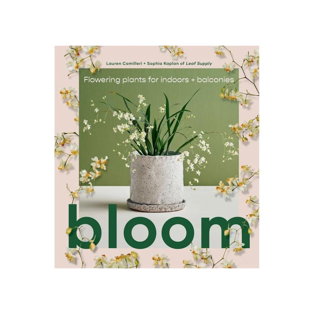 Bloom | Simple_Beautiful_Things – Simple Beautiful Things